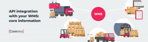 How to Reinvent Your WMS with API Integration: Coreteka Cases